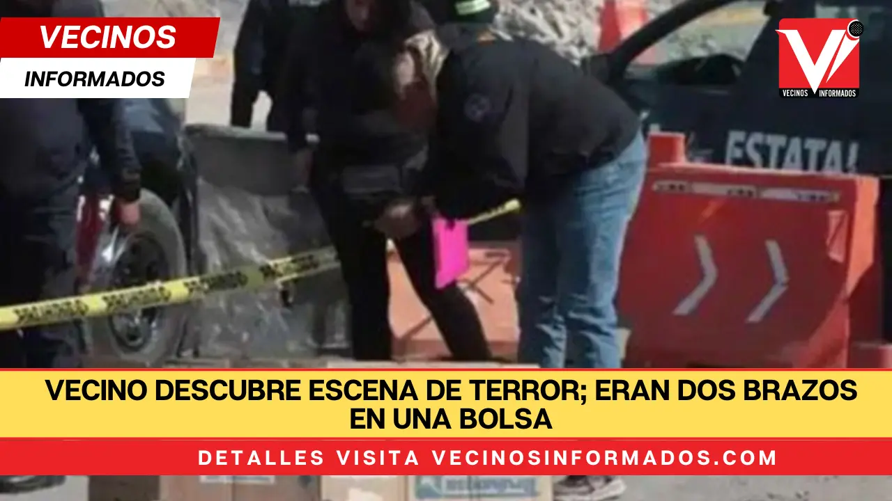 Vecino descubre escena de terror; eran dos brazos en una bolsa ...